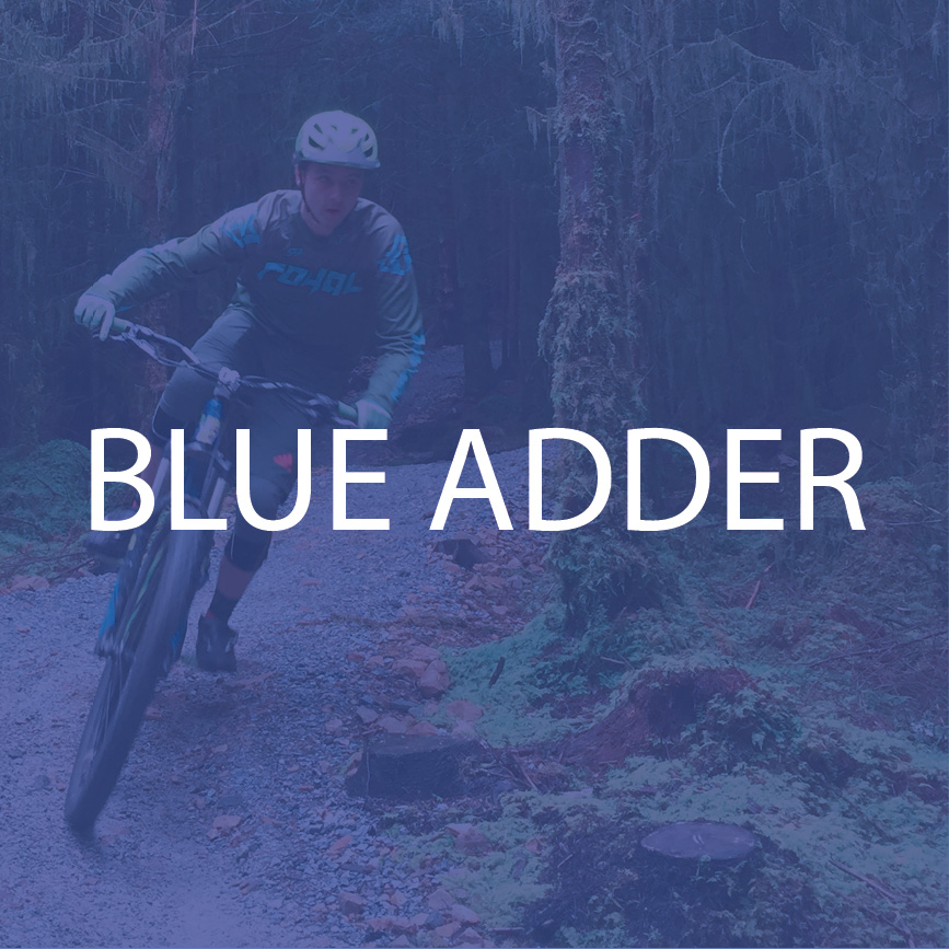 Lower Trails - Nevis Range